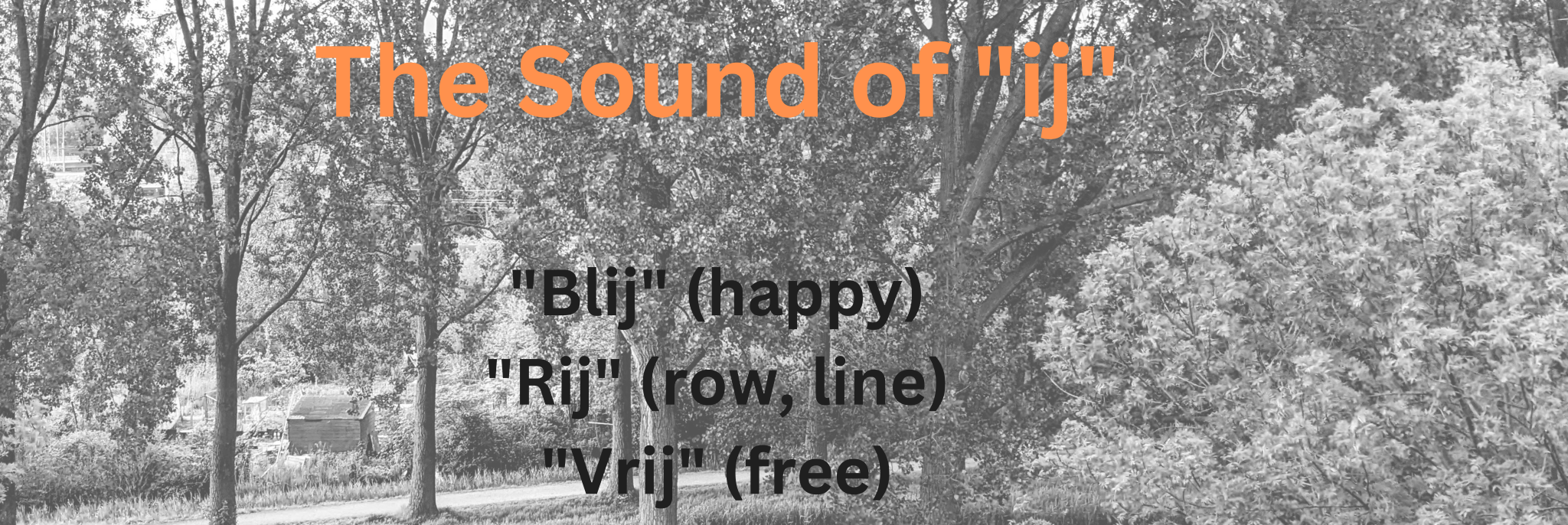 Understanding “ij” in Dutch - LingoHut Blog